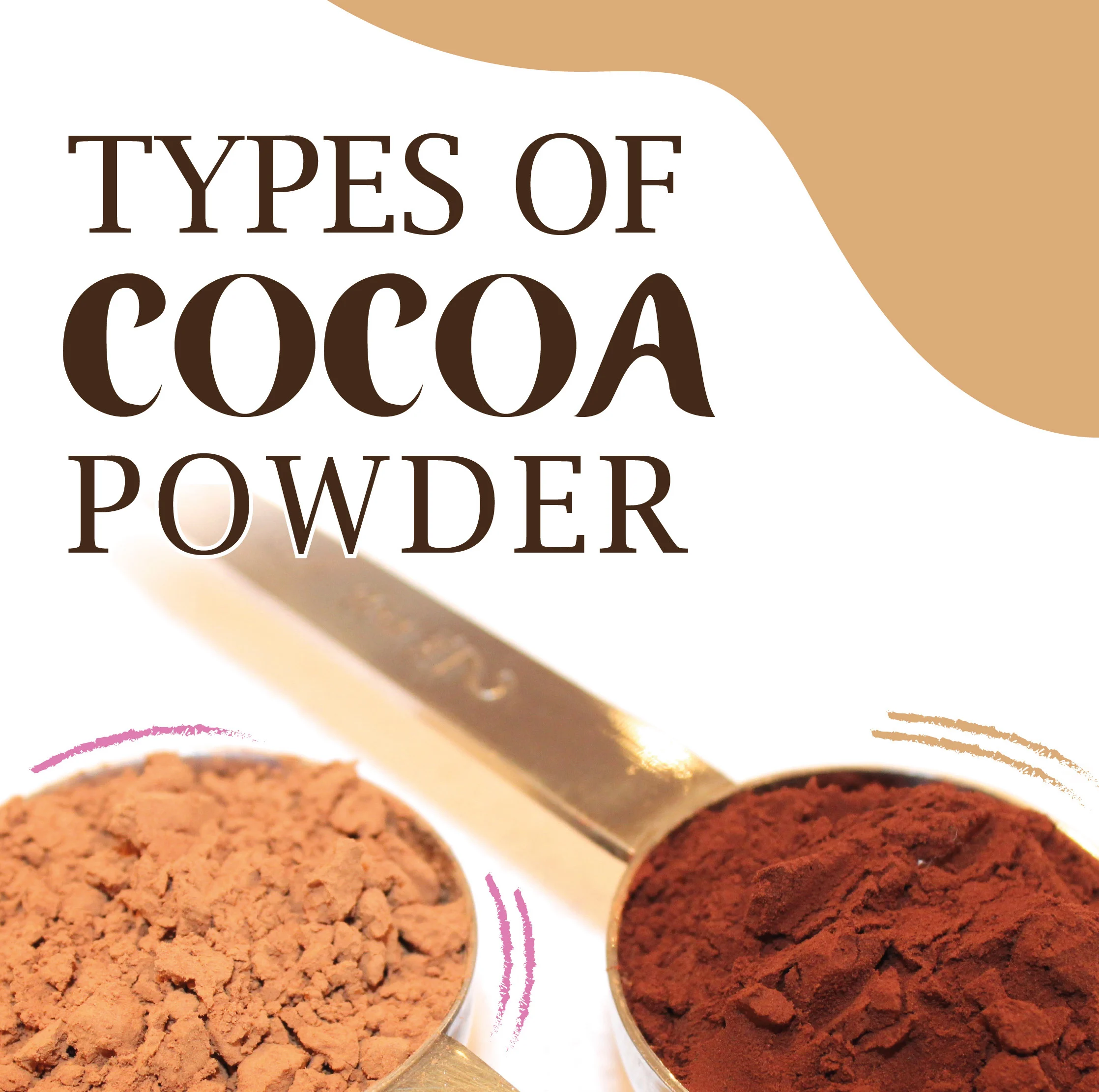 Cocoa Powder - Alpha Delta Food Sdn Bhd